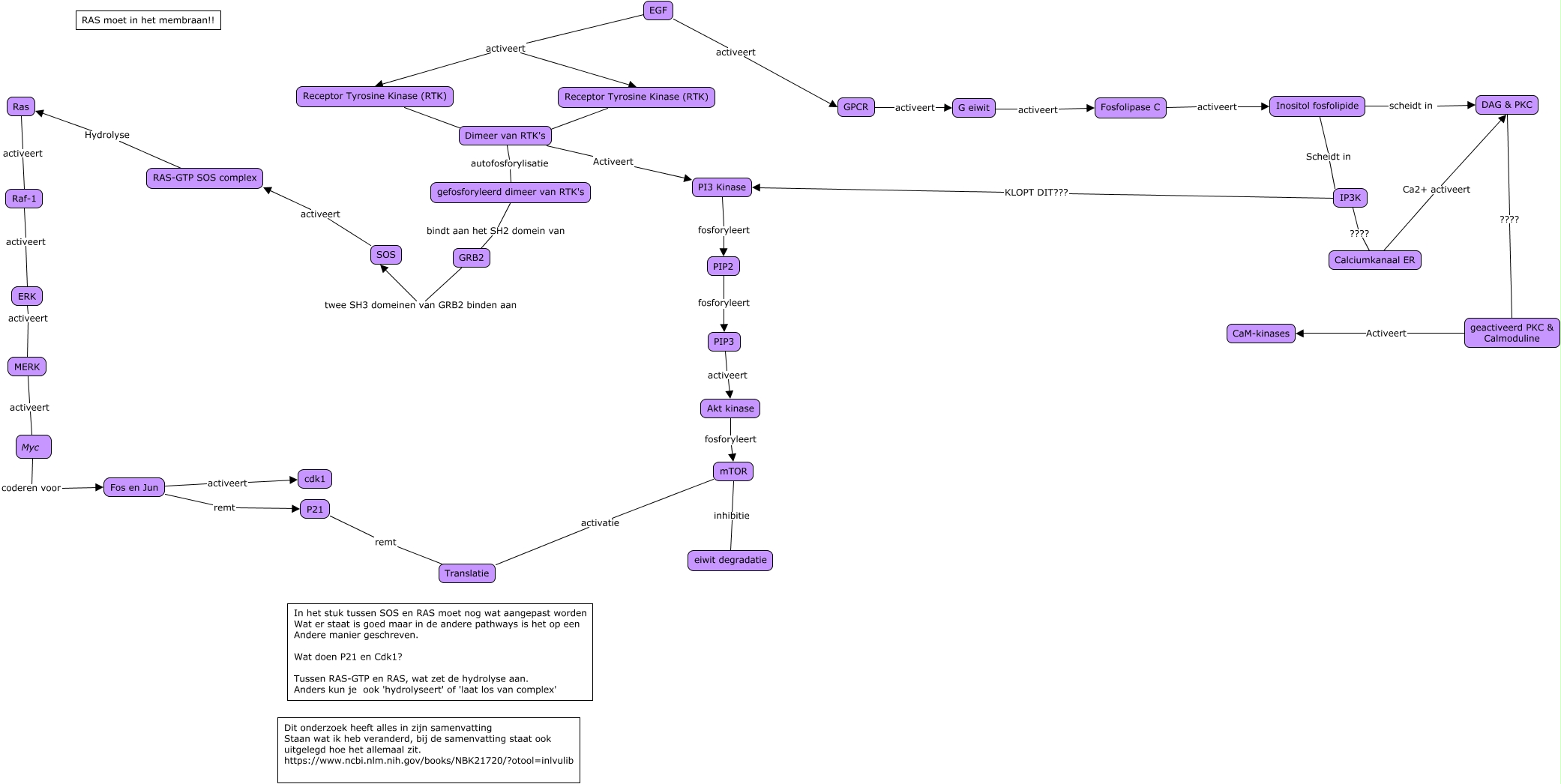 RTK pathway